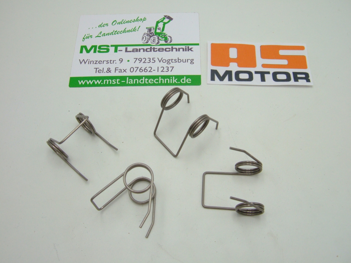 Schenkelfeder Pos. 198 AS Motor 50 und AS 50 B1/4T Wildkrauthex Bürste ...